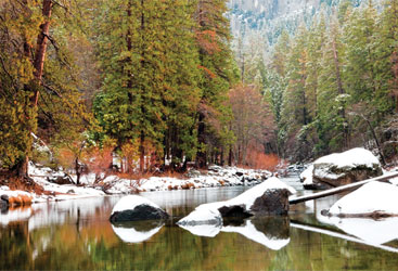 California Bountiful