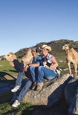 California Bountiful