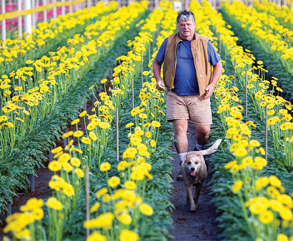 California Bountiful