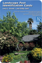 California Bountiful