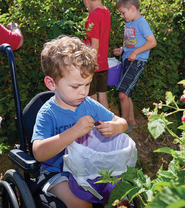 California Bountiful